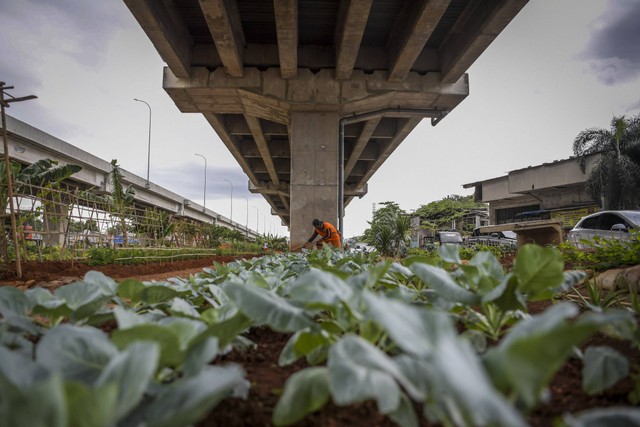 Foto: Pemprov DKI Jakarta Gencarkan Penataan Kawasan Hijau dan Urban ... Foto: Pemprov DKI Jakarta Gencarkan Penataan Kawasan Hijau dan Urban ...