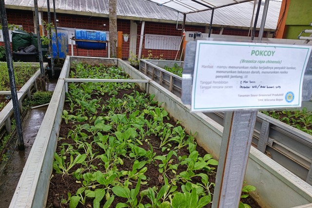 Kisah Para Siswa SMK Wikrama Bogor Buktikan Sekolah Vokasi Bisa Unggul ...