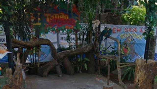 Harga Tiket Masuk Jakarta Birdland 2023 dan Cara Membelinya | kumparan.com