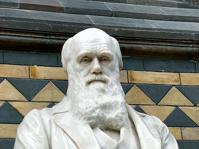 Mengenal Hari Darwin sebagai Peringatan Kelahiran Charles Darwin ...