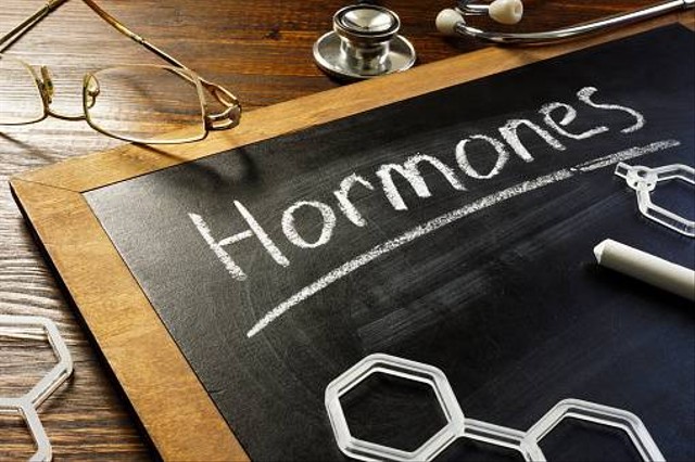 Perbedaan Sistem Saraf Dan Sistem Hormon Pada Sistem Koordinasi Manusia