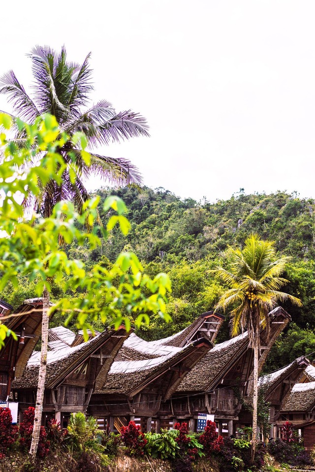 Mengenal Keunikan Pakaian Adat Toraja yang Penuh Pesona | kumparan.com
