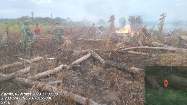 Kebakaran Lahan Melanda Trumon, Aceh Selatan | kumparan.com