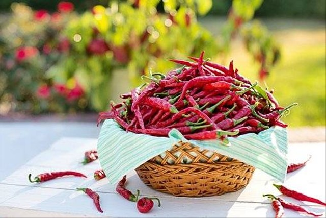 5 Cara Menanam Cabe di Rumah, Mudah Banget! | kumparan.com