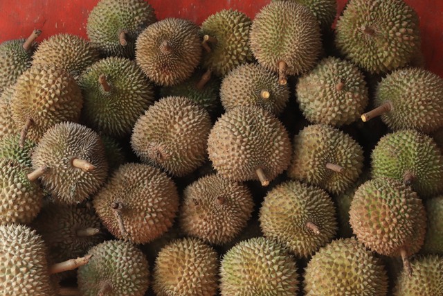 6 Tempat Makan Durian di Bogor, Pencinta Durian Wajib Tahu! | kumparan.com