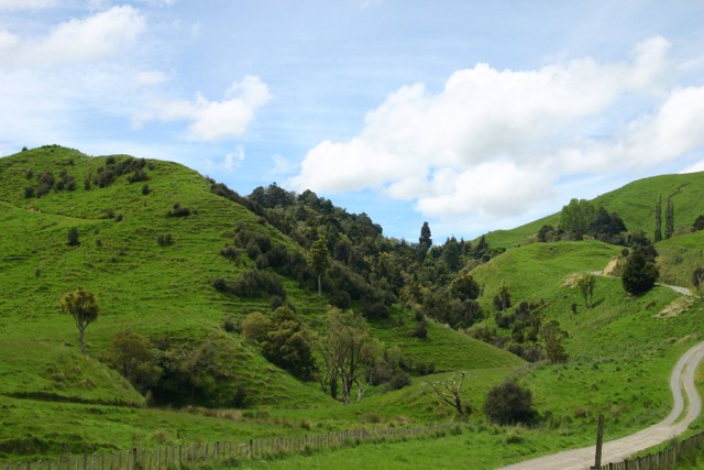 Apa Itu Lembah? Ini Dia Penjelasannya | kumparan.com