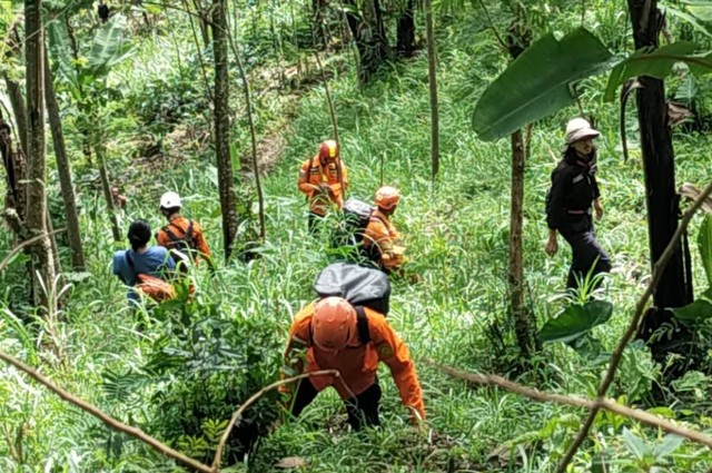 Seorang Wanita Hilang di Hutan Gunung Gendis Pasuruan, 3 Hari Belum ...
