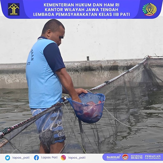 Lapas Pati Panen 100 Kg Ikan Nila | kumparan.com Lapas Pati Panen 100 Kg Ikan Nila | kumparan.com