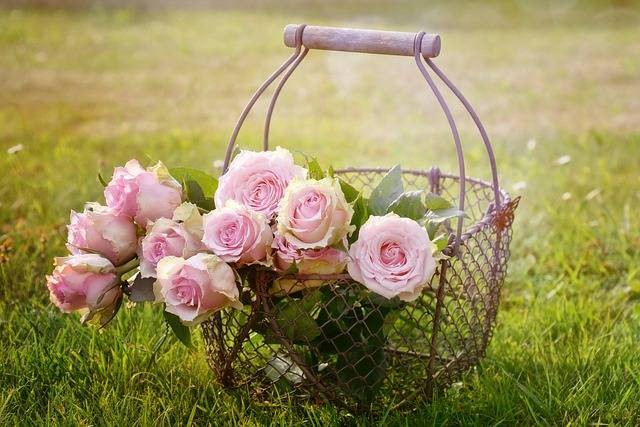 Filosofi Mawar, Bunga Cantik Simbol Cinta dan Keberanian | kumparan.com
