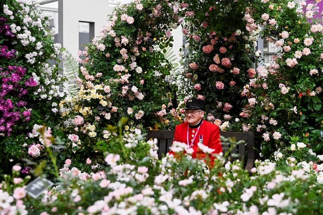Foto: Melihat Indahnya Bunga-bunga di Chelsea Flower Show | kumparan.com
