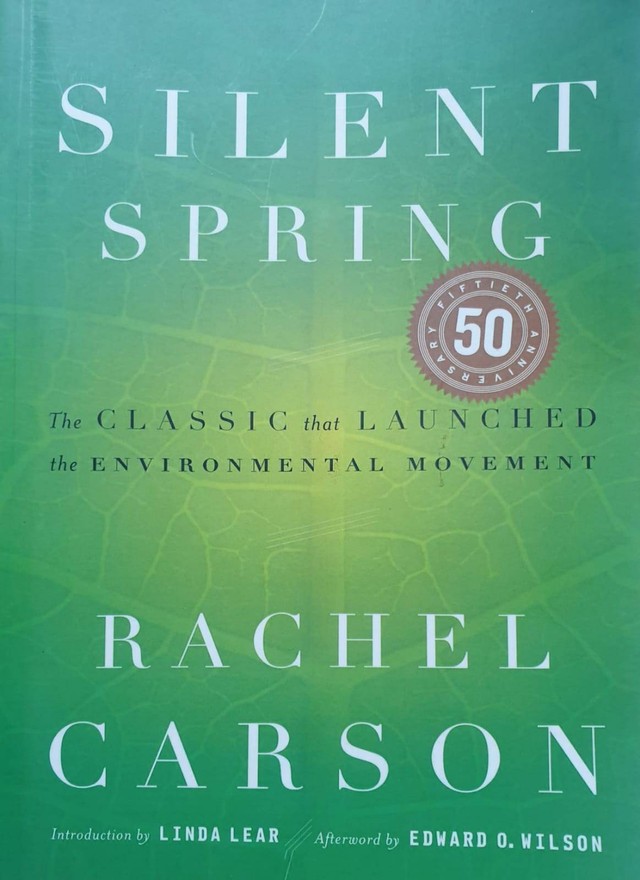 ecodien – I see more … I write more