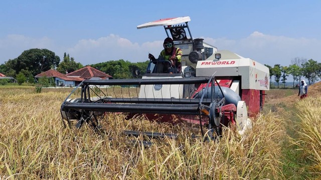Peningkatan Kesejahteraan Petani Melalui Korporasi | kumparan.com