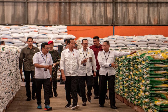 RI Gagal Amankan 500 Ribu Ton Beras Impor karena Pelabuhan Terbatas | kumparan.com