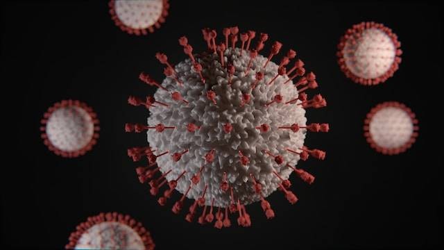 Klasifikasi Virus Biologi