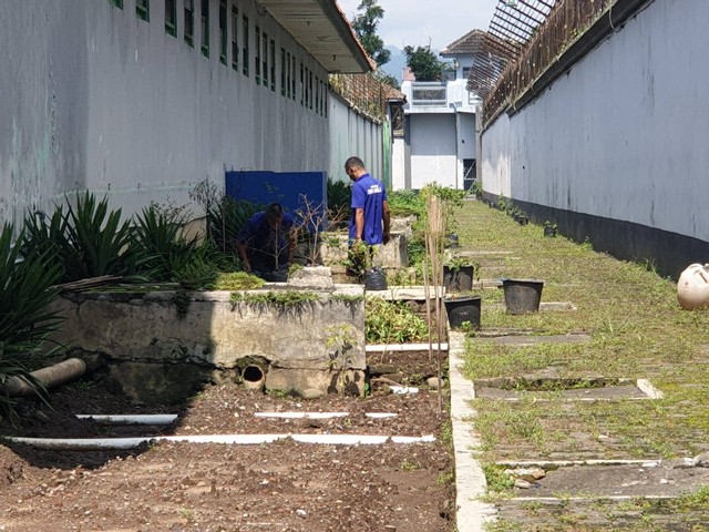 Narapidana Lapas Magelang Berkembang Melalui Pertanian Lahan Dalam ... Narapidana Lapas Magelang Berkembang Melalui Pertanian Lahan Dalam ...