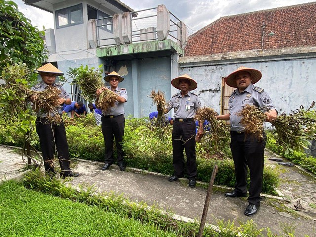 Kebun Lapas Magelang Menjadi Model: Sukses dalam Panen Kacang ... Kebun Lapas Magelang Menjadi Model: Sukses dalam Panen Kacang ...