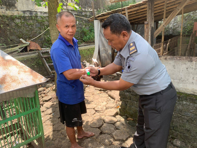 Inovasi Lapas: Narapidana Magelang Vaksinasi Ayam dan Mentok untuk ... Inovasi Lapas: Narapidana Magelang Vaksinasi Ayam dan Mentok untuk ...