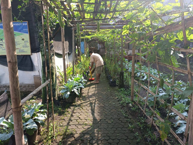 Menanam Harapan: Narapidana Lapas Magelang Aktif dalam Kegiatan ... Menanam Harapan: Narapidana Lapas Magelang Aktif dalam Kegiatan ...