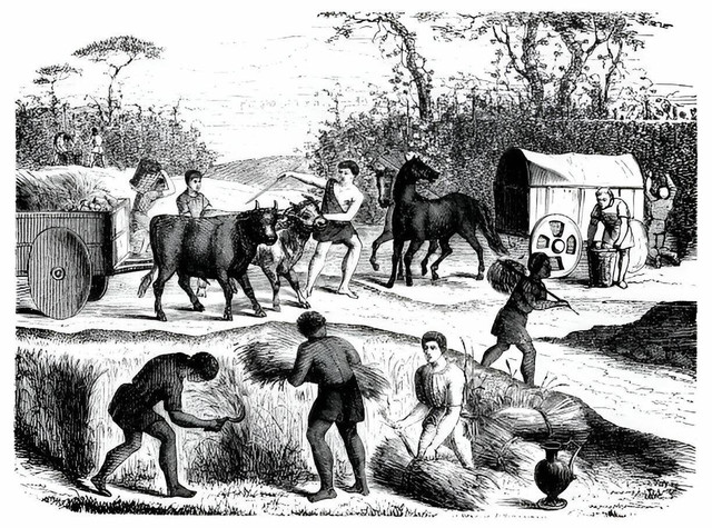 Kejahatan Besar Sejarah: Revolusi Pertanian dan Jebakan Kemewahan ...