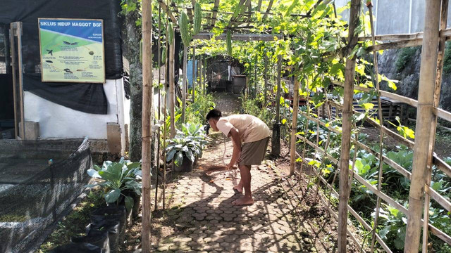 Berkarya dari Balik Jeruji: Sukses Peternakan Narapidana Lapas Magelang ... Berkarya dari Balik Jeruji: Sukses Peternakan Narapidana Lapas Magelang ...