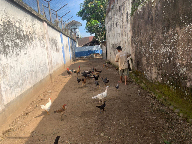 Transformasi Produktif: Narapidana Lapas Magelang Raih Sukses Lewat ... Transformasi Produktif: Narapidana Lapas Magelang Raih Sukses Lewat ...