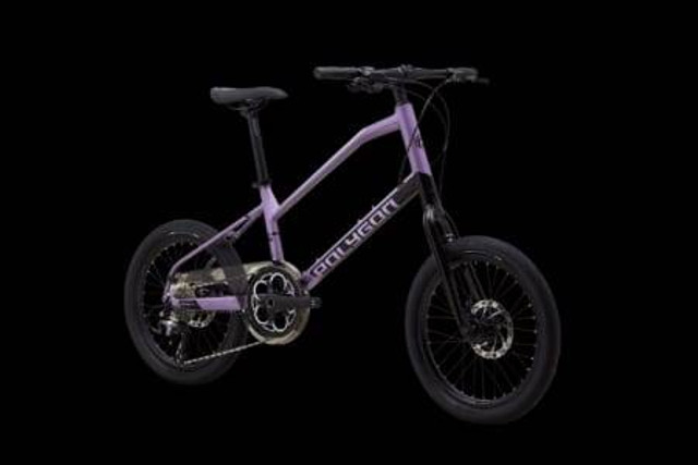 Spesifikasi Polygon Zeta 2, Sepeda Berbahan AL6 Minivelo Frame 20 ...