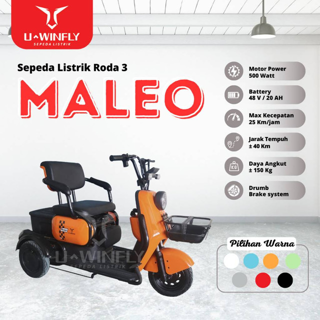 Spesifikasi Sepeda Listrik Uwinfly Maleo Roda 3 dengan Daya Angkut ...