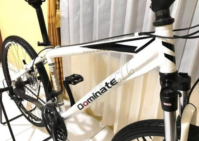 Spesifikasi Sepeda Dominate XC EL, Sepeda yang Cocok untuk Track Gunung ...
