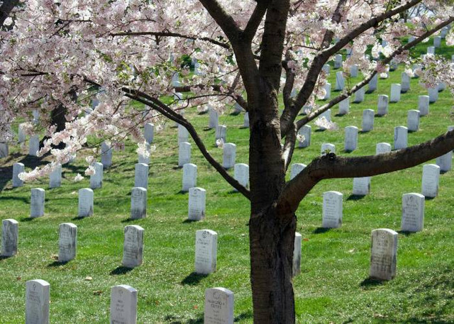 Doa Ziarah Kubur, Arti, dan Tata Caranya | kumparan.com