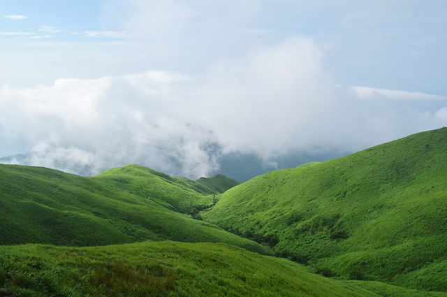 Harga Tiket Masuk Bukit Waruwangi, Wisata Alam Serang yang Lagi Hits ...