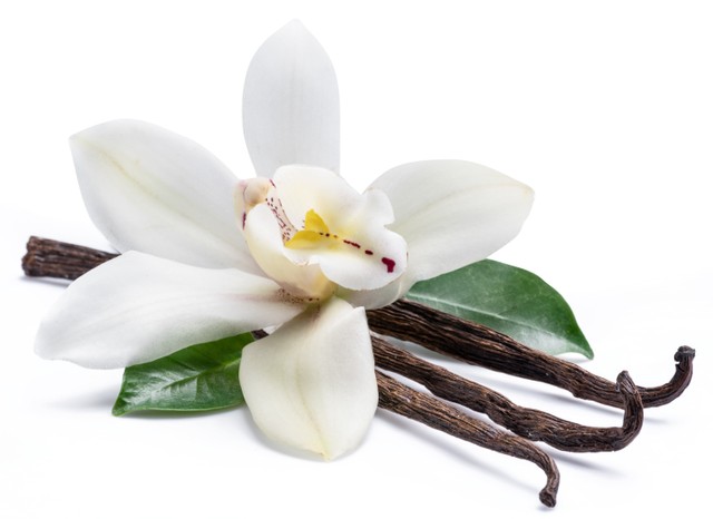 Asal-usul Rasa Vanila yang Kini Jadi Favorit Banyak Orang | kumparan.com