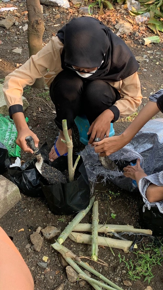 KKN-T UPNVJT Pertahankan Eksistensi Kampung Kelor Melalui Budidaya ...