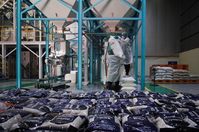Beras Bulog Bertambah 35 Ribu Ton dalam Sepekan Terakhir, RI Jadi Impor ...