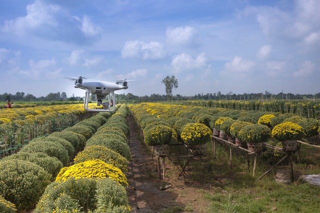 7 Contoh Faktor Hambatan Perkembangan Agrikultur di Indonesia ...