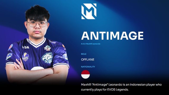 Nama Anggota EVOS Mobile Legends, Ini Daftarnya | kumparan.com