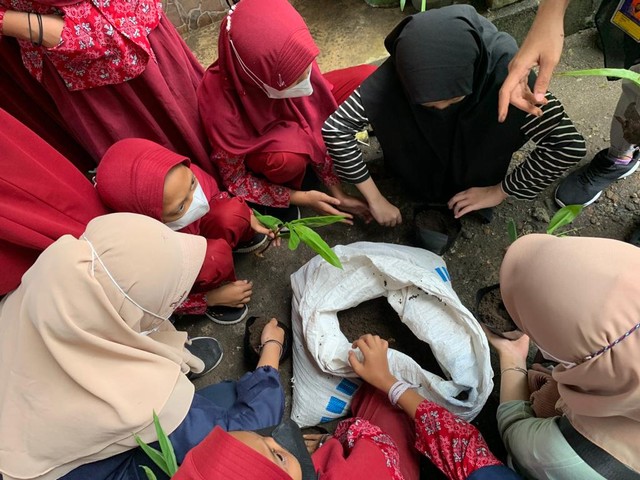 Program Edukasi Toga oleh Mahasiswa KKN Reguler 88 UAD Unit IX.A.1 ...