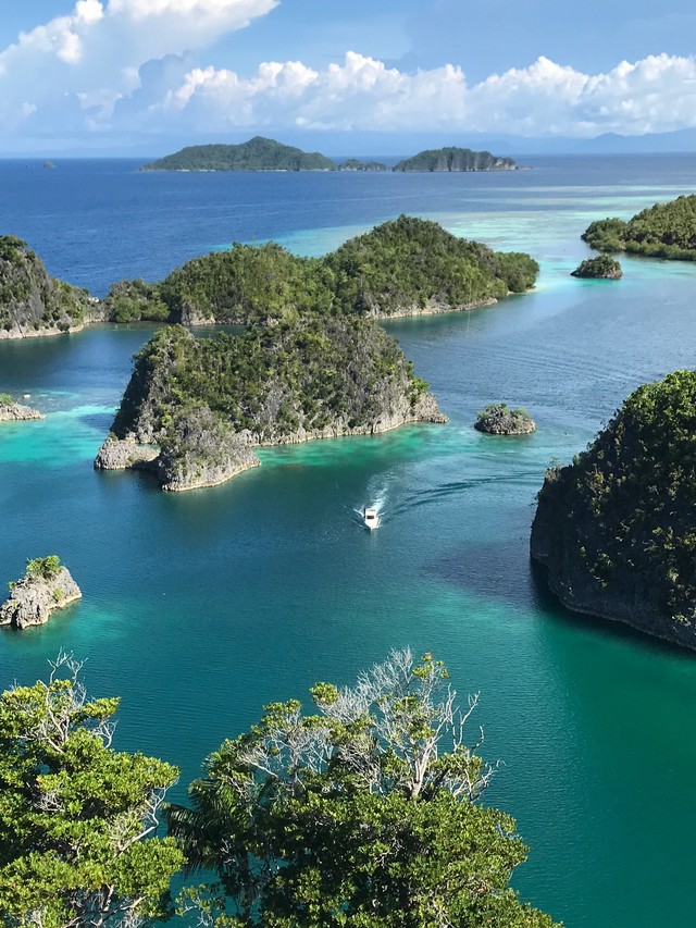 Mengunjungi Piaynemo, Spot Paling Instagrammable di Raja Ampat ...