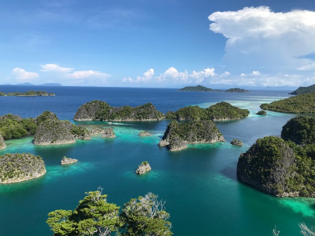 Mengunjungi Piaynemo, Spot Paling Instagrammable di Raja Ampat ...