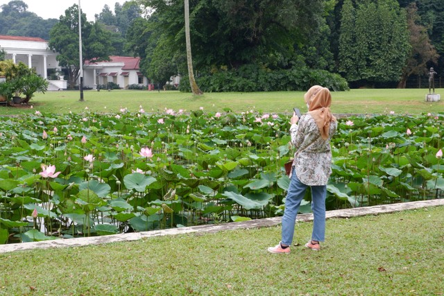 Kebun Raya Bogor, Tempat Wisata yang Pas untuk Akhir Pekan | kumparan.com