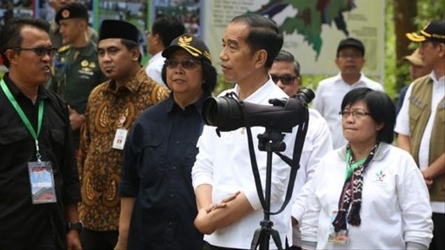 Dari Anggrek sampai Elang, Gunung Merapi Kerajaan Flora Fauna Terbesar di Yogya | kumparan.com