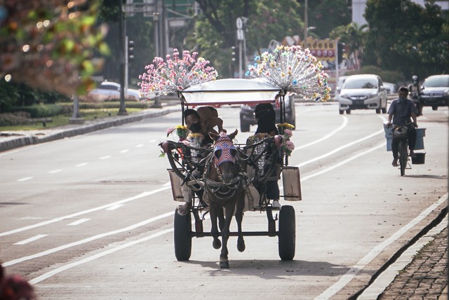 5 Fakta Unik Delman, Ada Sejak Zaman Belanda hingga Punya Banyak Nama ...