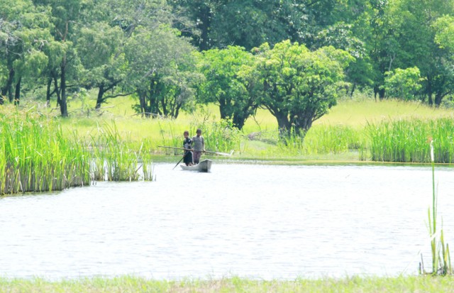 Intip Kehidupan di Padang Savana Rawa Teal Merauke | kumparan.com