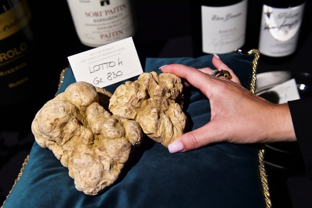 Koki Sultan Berbintang Michelin Ini Menang Lelang Truffle Seharga Rp 1 ...