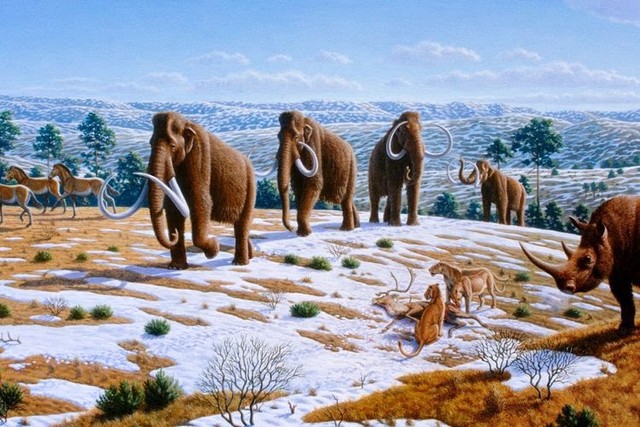 Kenali Zaman Pleistosen Tengah, Bagian Awal dari Kehidupan Manusia Purba | kumparan.com