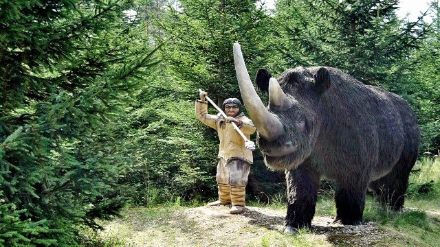 Ciri-Ciri Pithecanthropus Mojokertensis dan Pola Kehidupannya ...