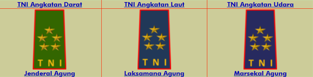 Daftar Lengkap Urutan Lambang Pangkat TNI | kumparan.com