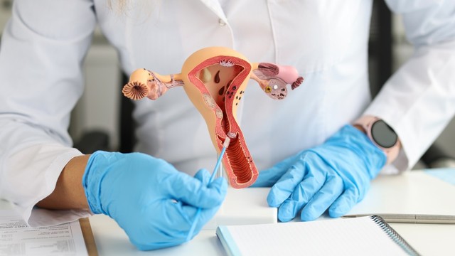 9 Kondisi Medis yang Sebabkan Rahim Harus Diangkat | kumparan.com