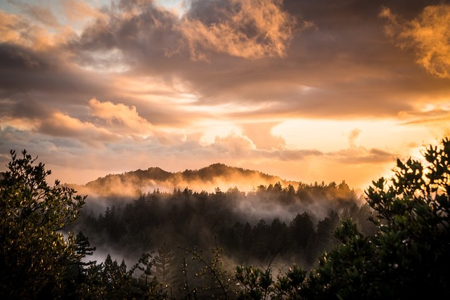 5 Langkah Dapatkan Rumus Lightroom Senja | kumparan.com