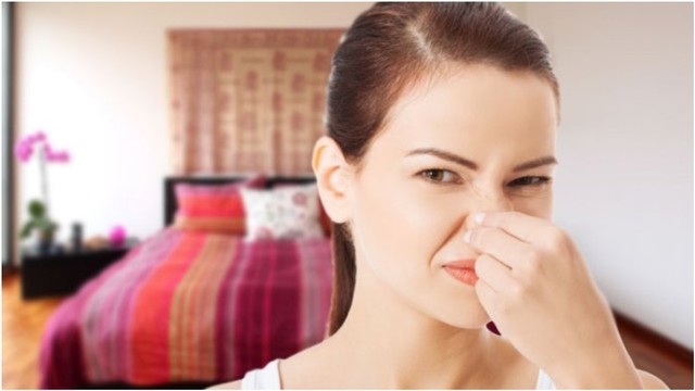5 Cara Mudah Hilangkan Bau Tak Sedap di Rumah | kumparan.com
