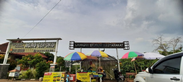 KKN Tematik UNDIP x Exovillage Tingkatkan Potensi Desa Wisata Desa ...